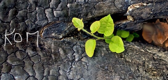 Kom – TRO – HÅP OG KJÆRLIGHET